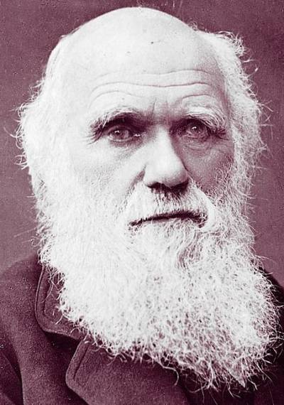 Fra Lamarck til Darwin til nydarwinismen | Enhetsbevegelsen